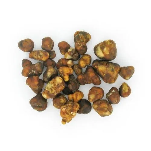 The Ultimate Guide to Magic Truffles Benefits, Risks, and How to Use Them