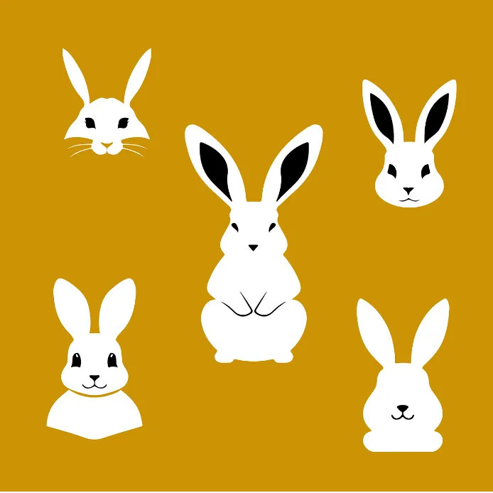 How to Draw a Rabbit - A Step-by-Step Guide with Easy Rabbit Drawing Ideas