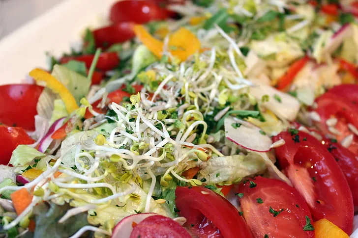 10 Best Better Body Foods for a Healthier You