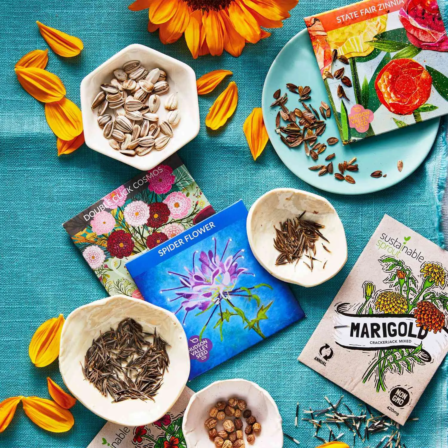 La guía definitiva para cultivar semillas de flores, consejos y trucos ...