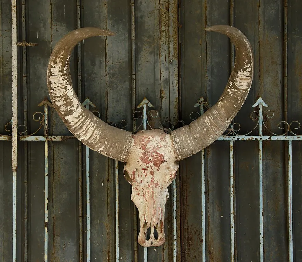 The Mystique of the Buffalo Skull Pile - A Step-by-Step Guide to ...