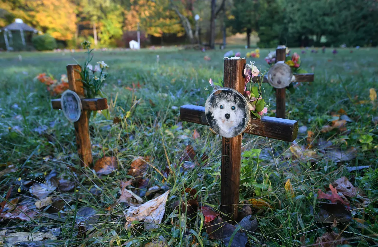 The Ultimate Guide to Finding the Best Pet Cemetery in Your Area