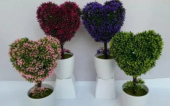 How to Choose and Care for Heart Plants A Shopping Expert's Guide