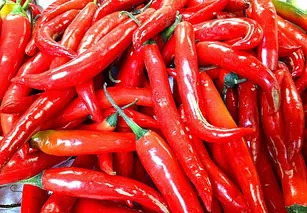 The Ultimate Guide to Pepper X The Hottest Pepper in the World