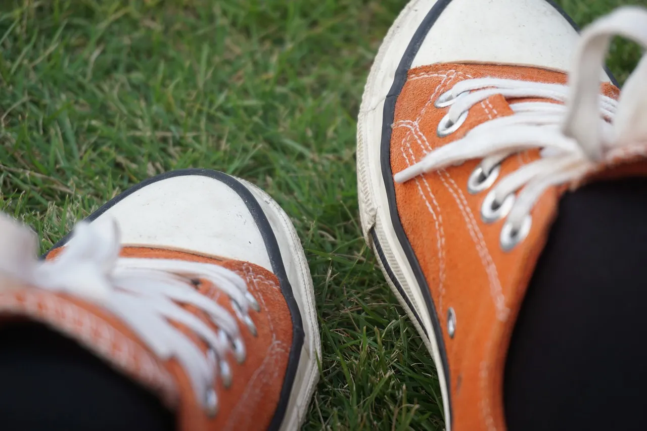 Top 10 Brands of Canvas Board Shoes