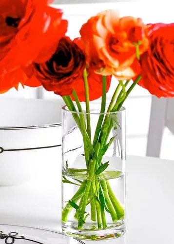 Best Flowers in Vase for Gorgeous Home Decor