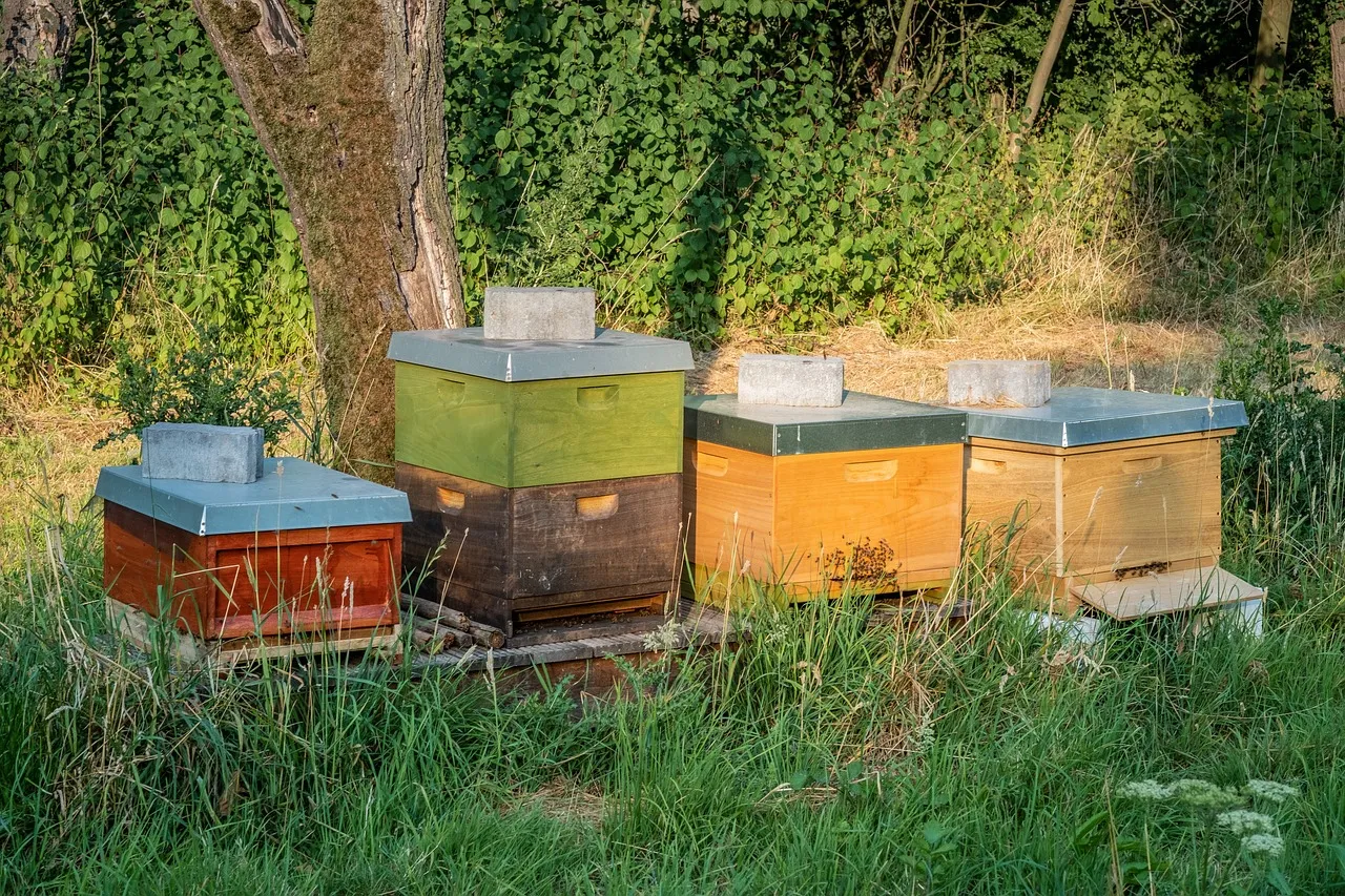 Bee Keeping 101 A Beginner's Guide to Starting Your Own Hive