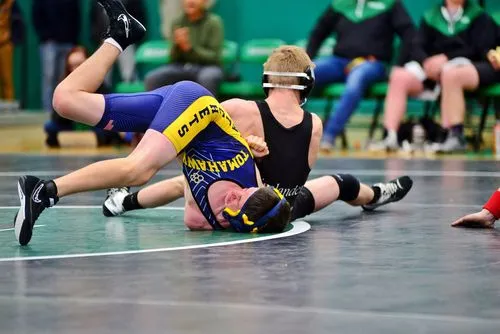 The Controversial Owen Hart Fall Video What You Need to Know