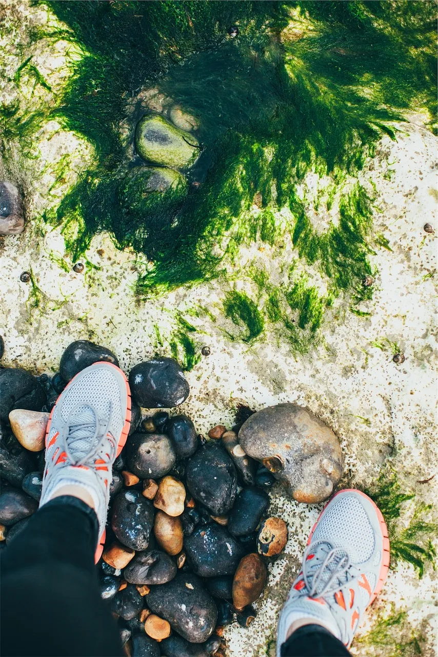 How to Choose the Best Ground Shoes for Your Feet