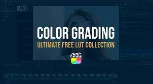 The Importance of Color Grading in Online Shopping A Comprehensive Guide
