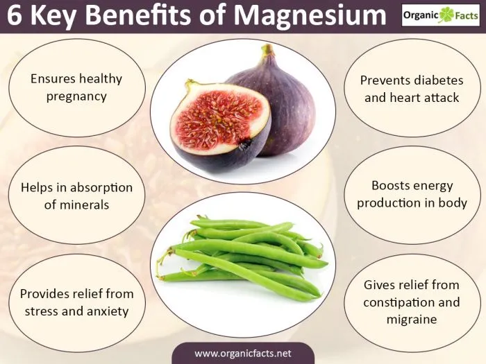 Why Magnesium Vitamin is Essential for a Healthy Lifestyle