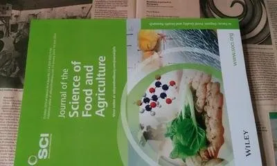 What is the Pint Abbreviation and How to Convert it in Different Units?