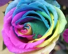 How to Make Tie Dye Roses A Step-by-Step Guide