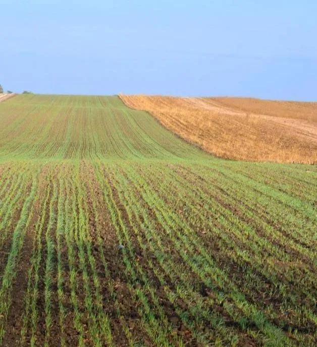 Crop Rotation Definition – The Key to Sustainable Farming