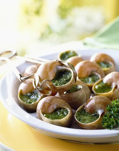 The Ultimate Guide to Keeping Freshwater Snails as Pets