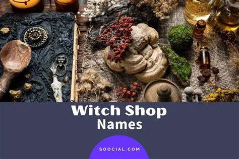 The Ultimate Guide to Shopping for Witch Series Merchandise Where to ...