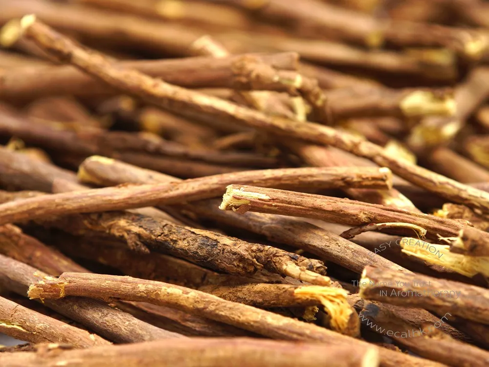 La guía definitiva para elegir y preparar té de raíz de regaliz