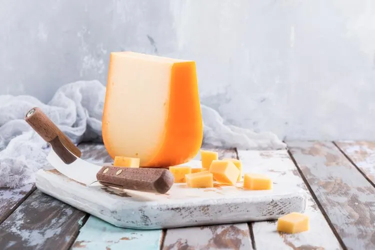 Discovering the Best Dutch Cheese A Guide to Satisfy Your Cheese Cravings