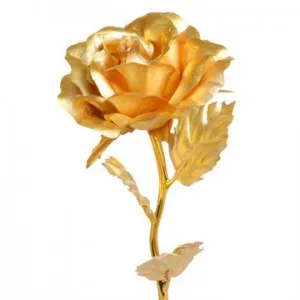 How to Find and Buy the Best Golden Roses for Any Occasion