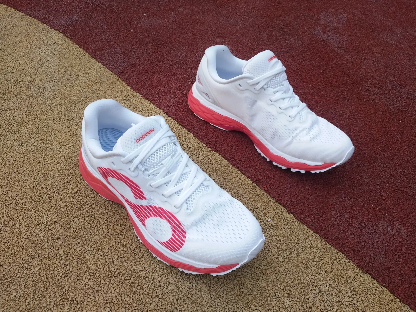 How to Choose the Best Gym Shoes for Your Workout