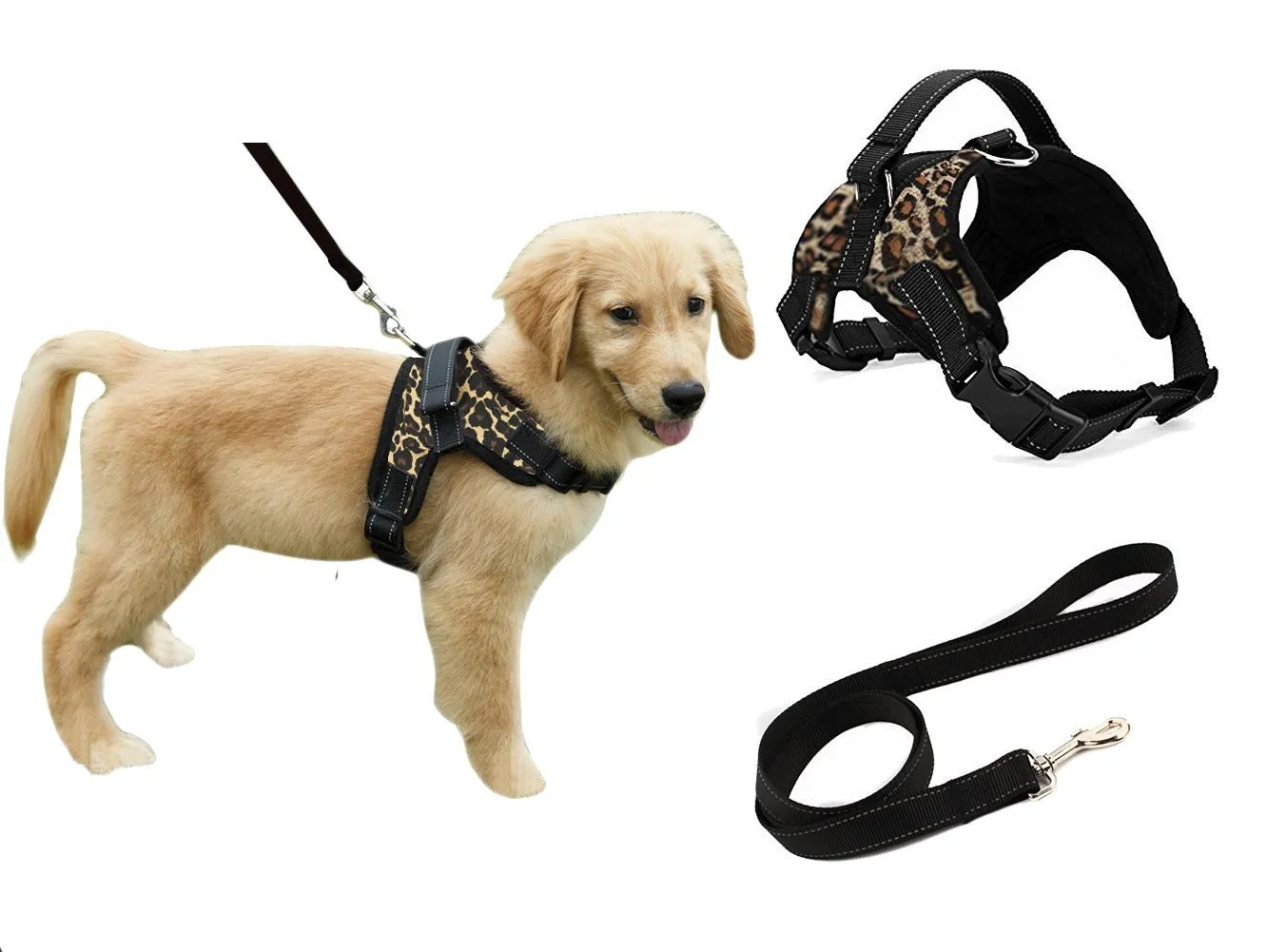 The Ultimate Guide to Dog Leash Materials Which is Best for Your Pup?