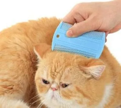 The Ultimate Guide to Choosing the Best Cat Cleaners for Your Feline Friend