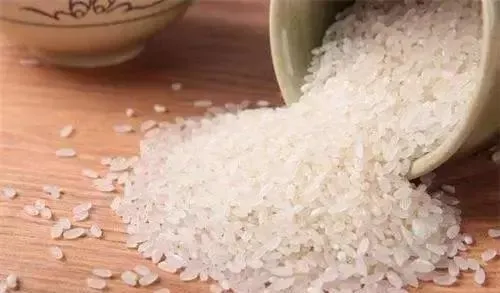 Why Protein Rice Should be Your Go-To Staple in 2021?