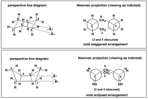 Mastering Newman Projections for Smart Shopping A Comprehensive Guide