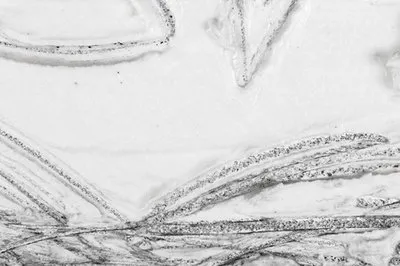 Mastering the Art of Graphite Drawings Tips and Techniques for Beginners