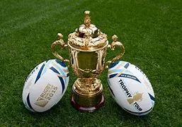How to Decorate Your Home for the Rugby World Cup Tips and Ideas