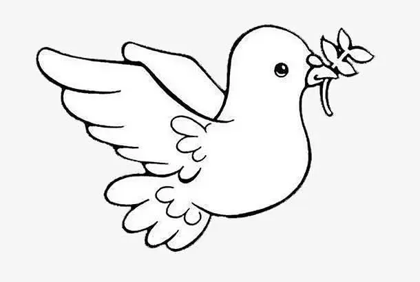 Exploring Pigeon Art: A Guide to Finding & Collecting