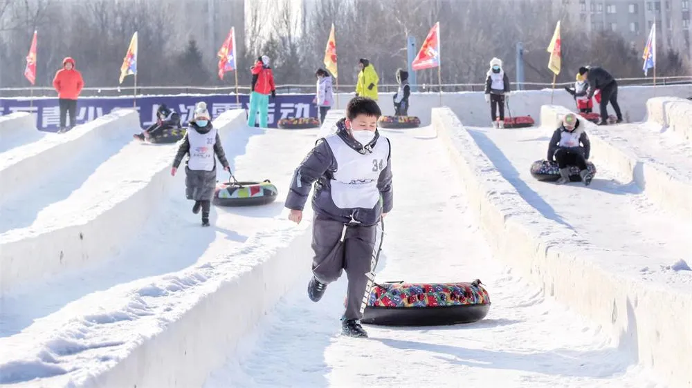 The Ultimate Guide to Choosing the Best Hockey DBoard for Your Home Rink