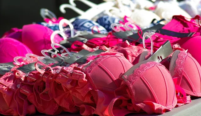 The Ultimate Guide to Sheer Bras Where to Buy, How to Wear, and Why You ...