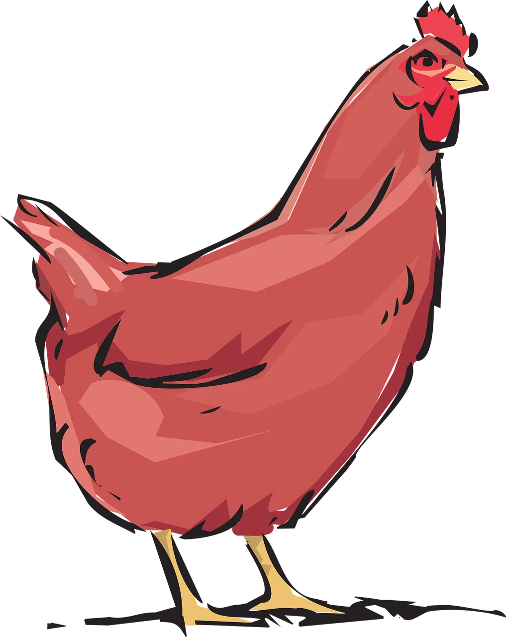 Cooking with Red Hen Delicious Recipes for the Perfect Meal