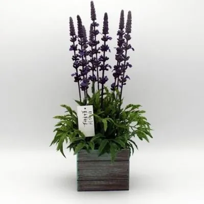 10 Stunning Flowers Pictures Spring 2023 Get Inspired Today!