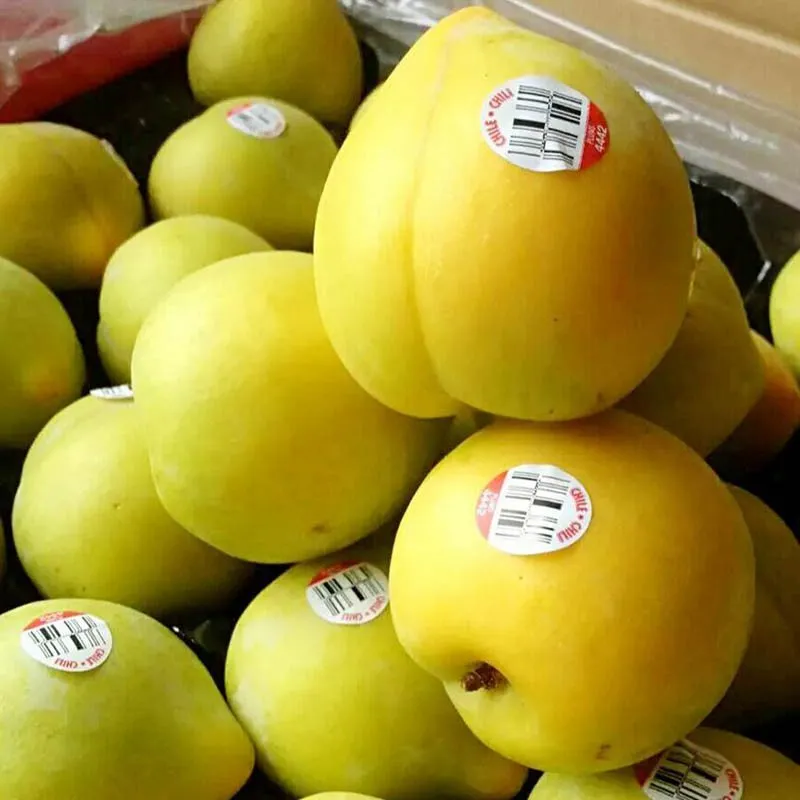 What Makes Lemon Plum a Must-Have for Shopaholics?