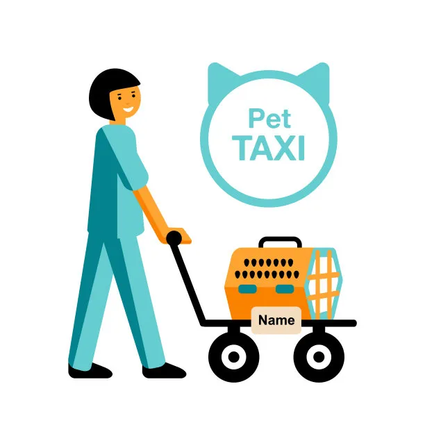 Pet Taxi Service: A Guide for Owners