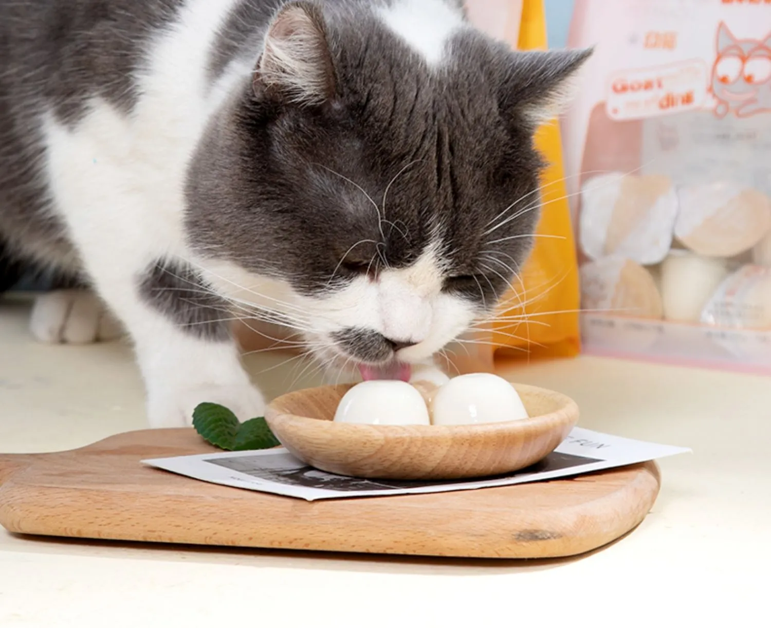 Where to buy the cutest Jelly Cats for your little ones?