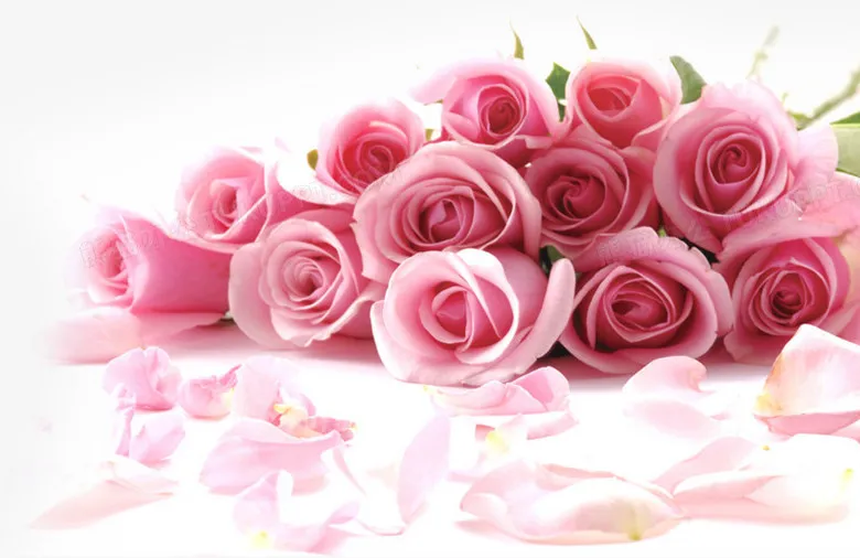 The Ultimate Guide to Choosing the Perfect Bouquet of Pink Roses