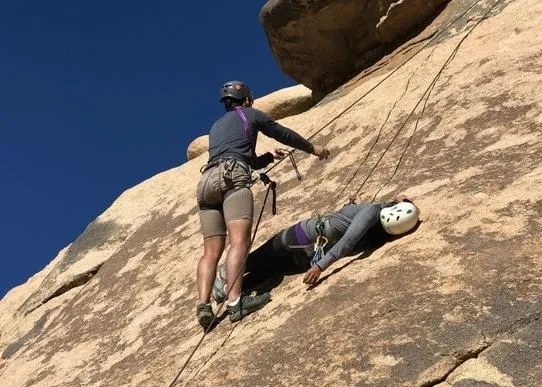 Maxi Climber Workout The Ultimate Guide to Burning Calories and ...