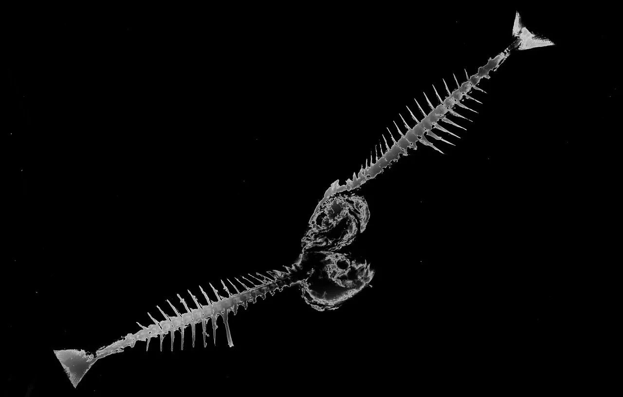 How to Remove Fish Bones Easily and Safely