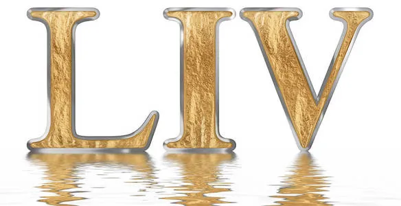 How to Choose the Perfect Watch with Liv Roman Numerals