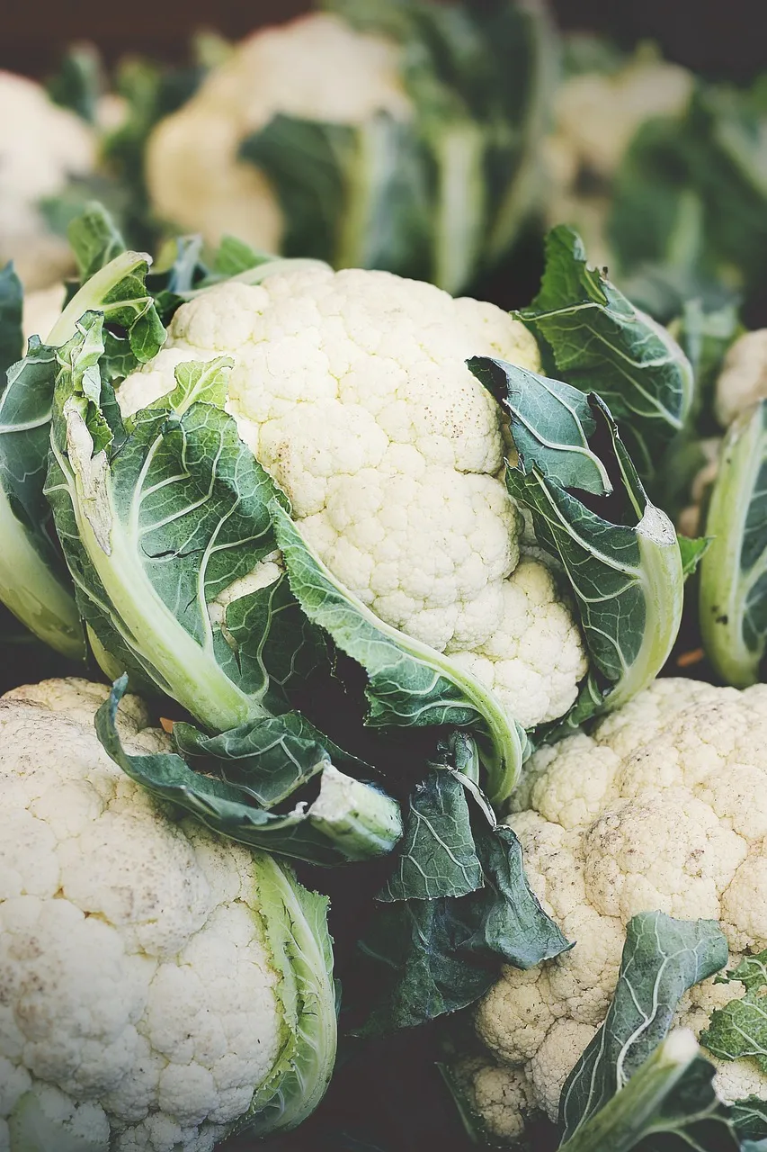 Why Cauliflower Protein Is the New Superfood You Need in Your Diet