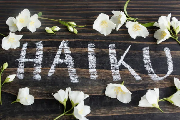 Haiku Examples: The Ultimate Guide to Finding the Best Shopping Deals