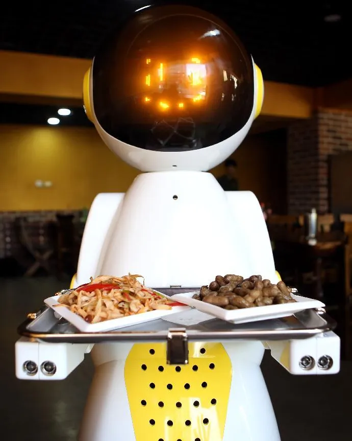 Revolutionizing the Restaurant Industry with Waiter Robots