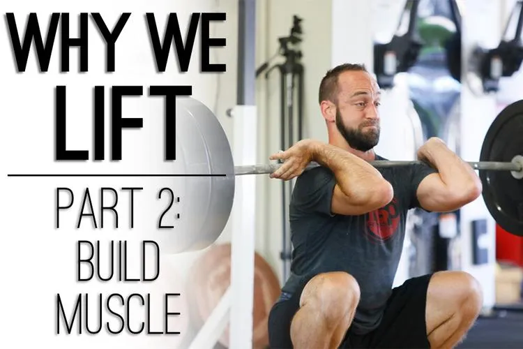 What is the Best Way to Build Muscle Body?