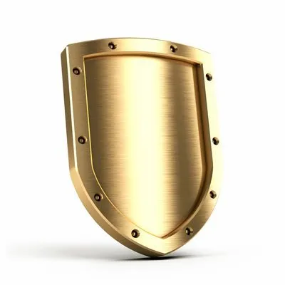 The Fascinating History of Drawings of Shields