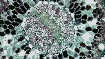 Consejos de compra para encontrar las líneas celulares perfectas para ...