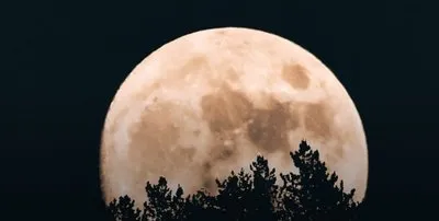 Is Safe Moon The Next Big Crypto Investment Opportunity