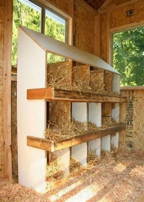 How to Build Chicken Nesting Boxes A Guide for Poultry Farmers